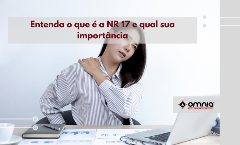 Entenda o que é a NR 17 e qual sua importância – Omnia