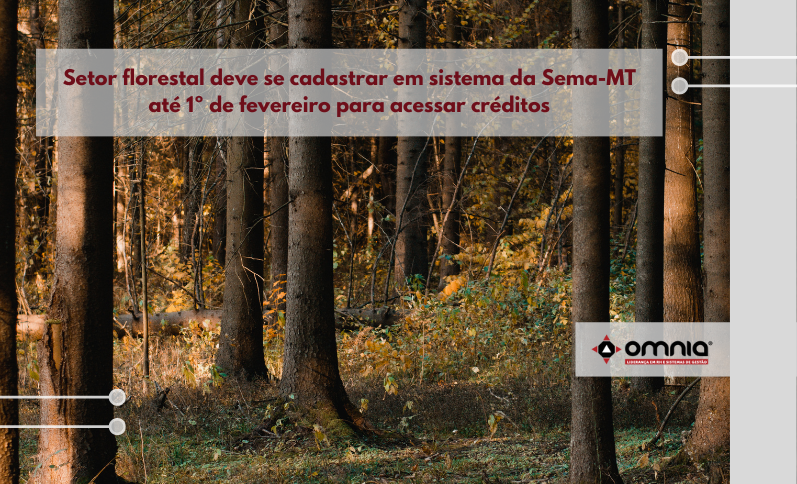 Setor florestal deve se cadastrar em sistema da Sema-MT até 1º de ...