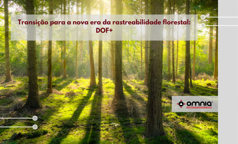 Transição para a nova era da rastreabilidade florestal: DOF+ – Omnia