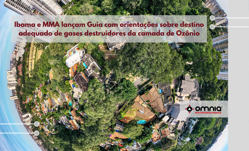 Ibama e MMA lançam Guia com orientações sobre destino adequado de gases ...